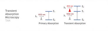Transient Absorption Microscopy - TAM