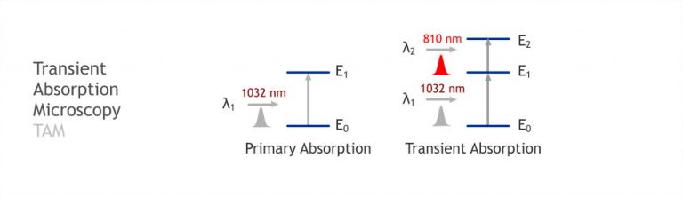 Transient Absorption Microscopy - TAM